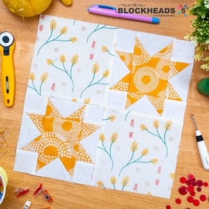 Moda Blockheads V (2023-2024)