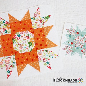 Moda Blockheads V (2023-2024)