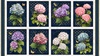 Hydrangea Dreams Free Quilt Pattern