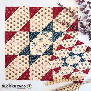 Moda Blockheads V (2023-2024)